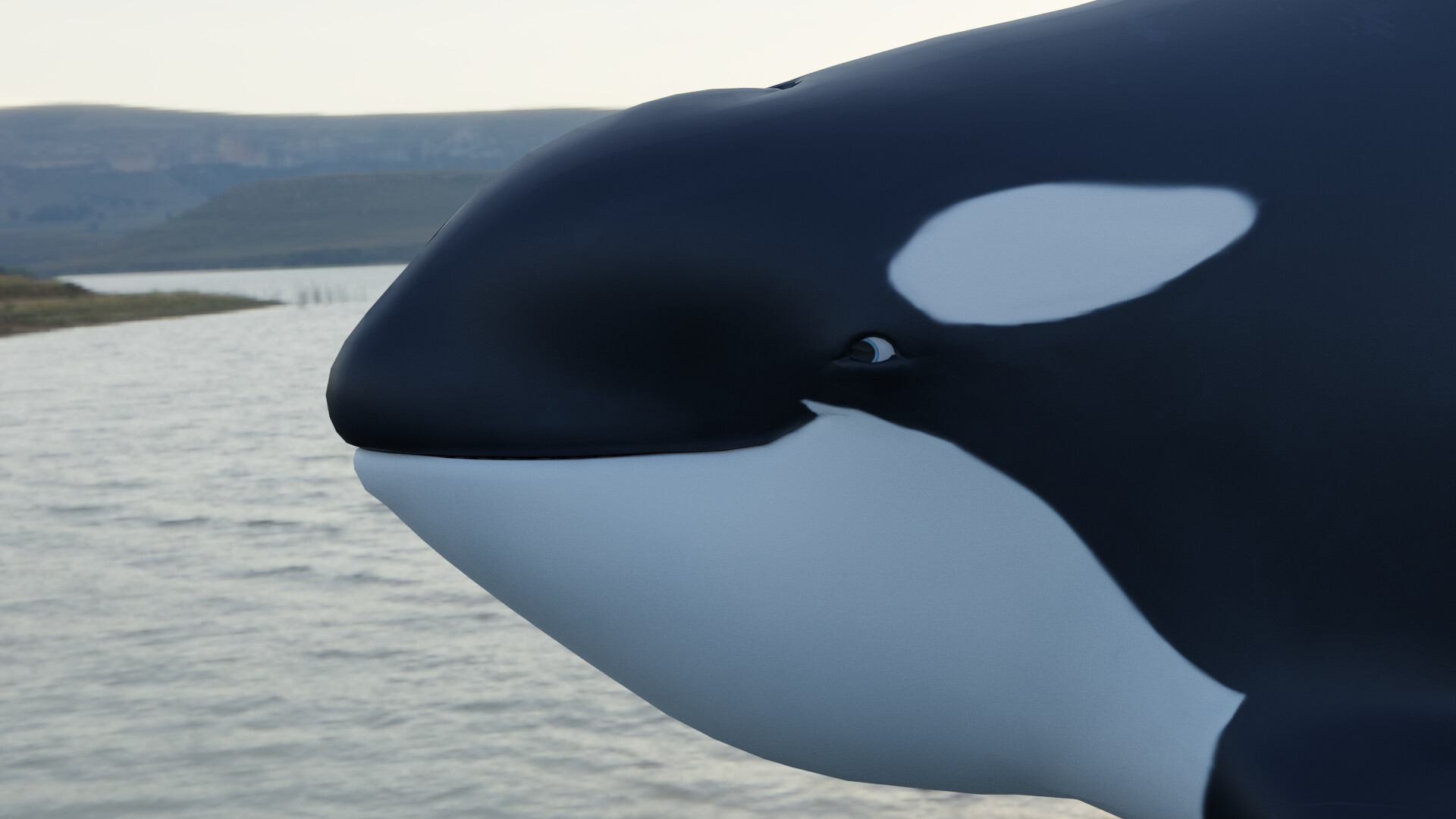 Matthew Phillippi - Daram Facial Poses