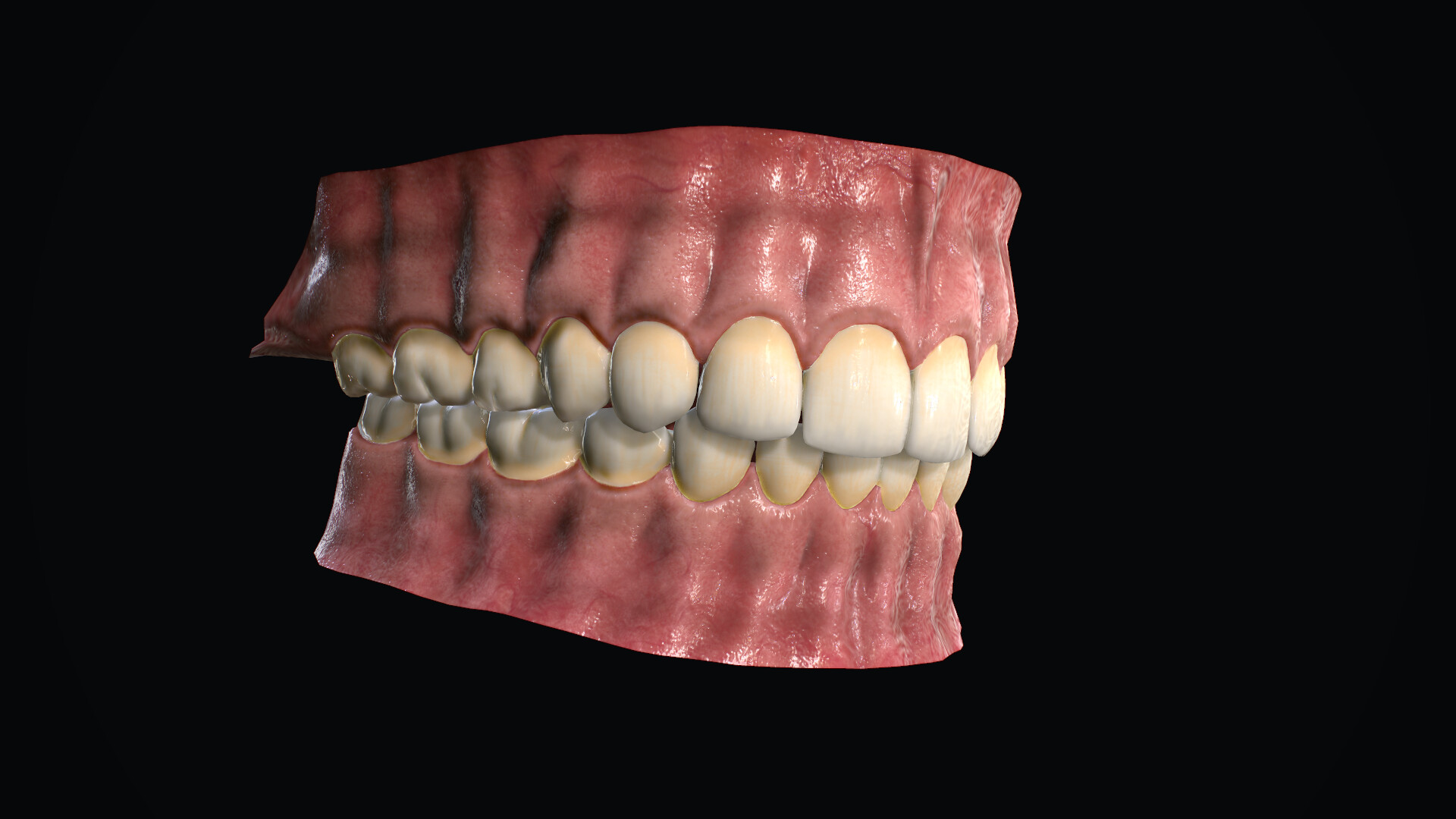PGW Studio - Realistic Teeth - Real-time for production