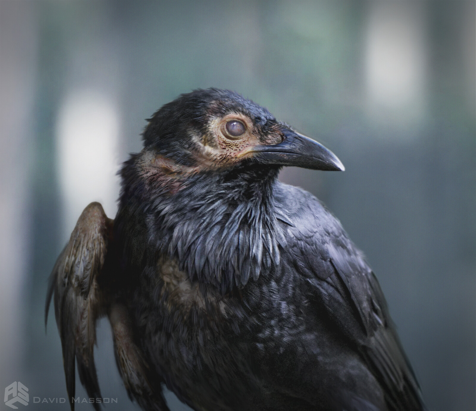 DAVID MASSON SAN GABRIEL - Daybreak Crow