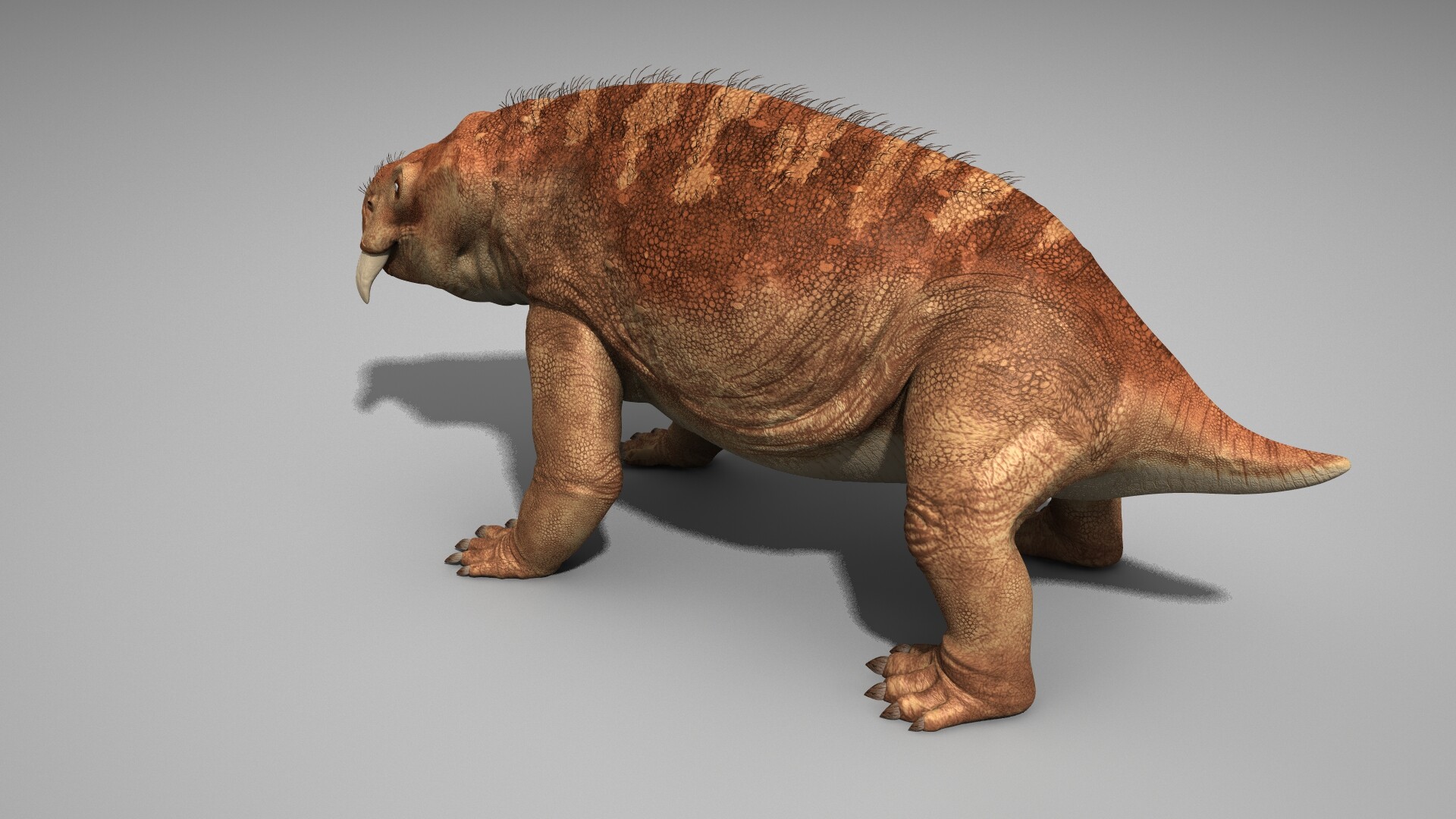 José Antonio PA - PLACERIAS