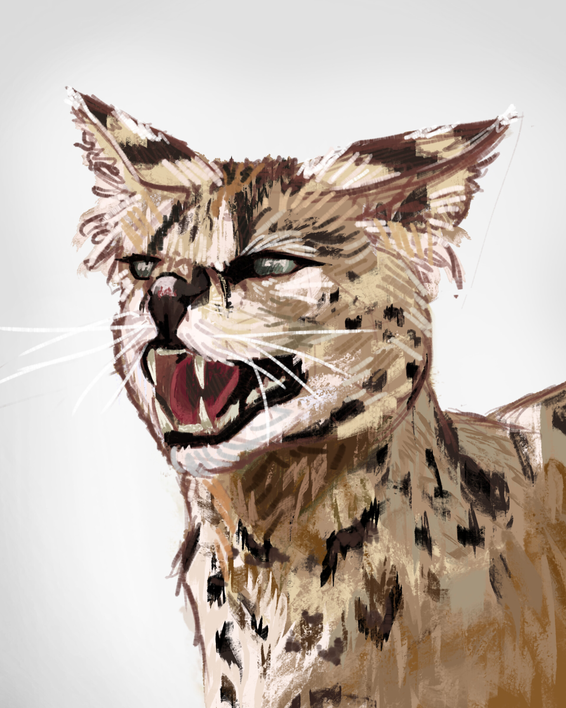 Serval Drawing