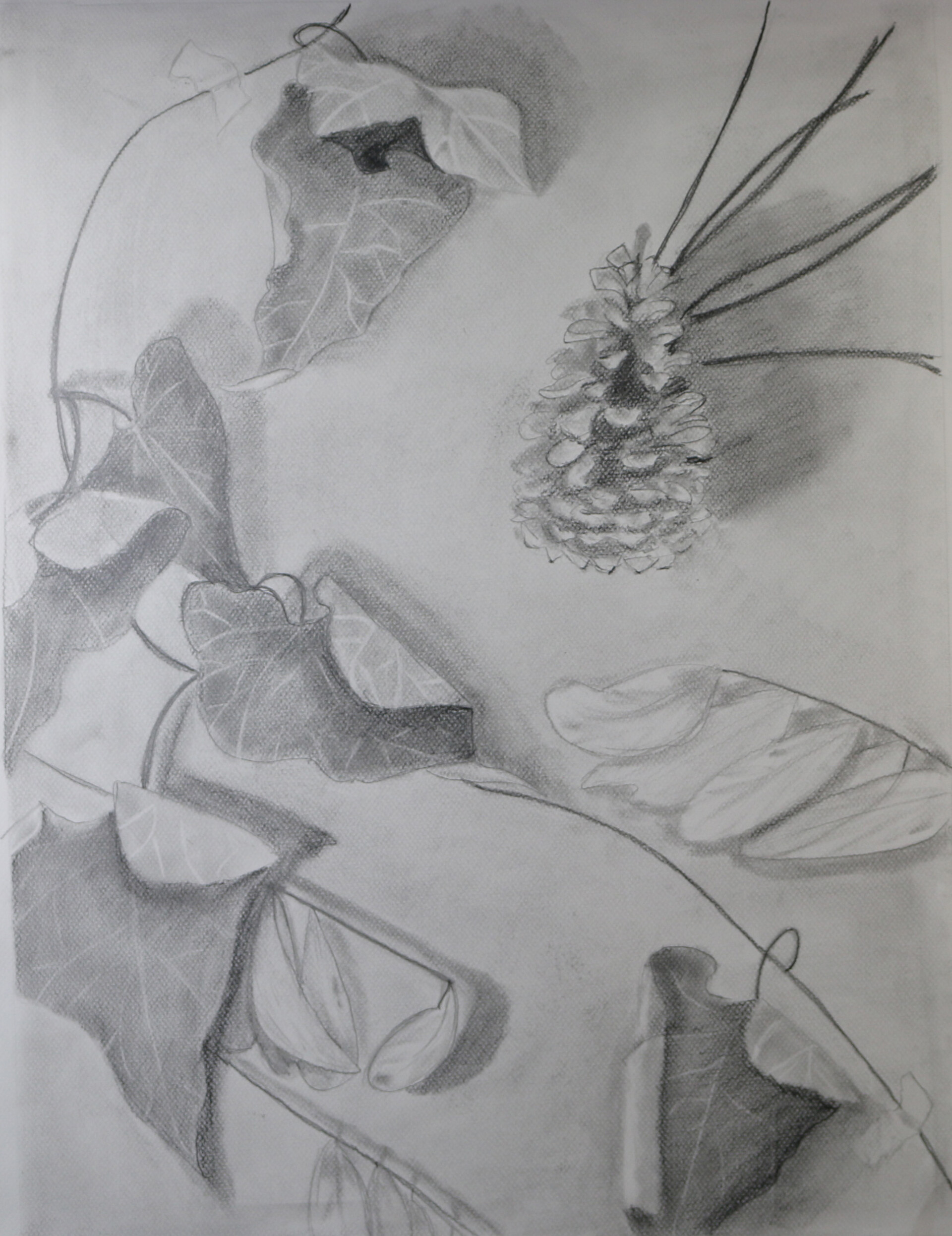 ArtStation - Nature Still Life