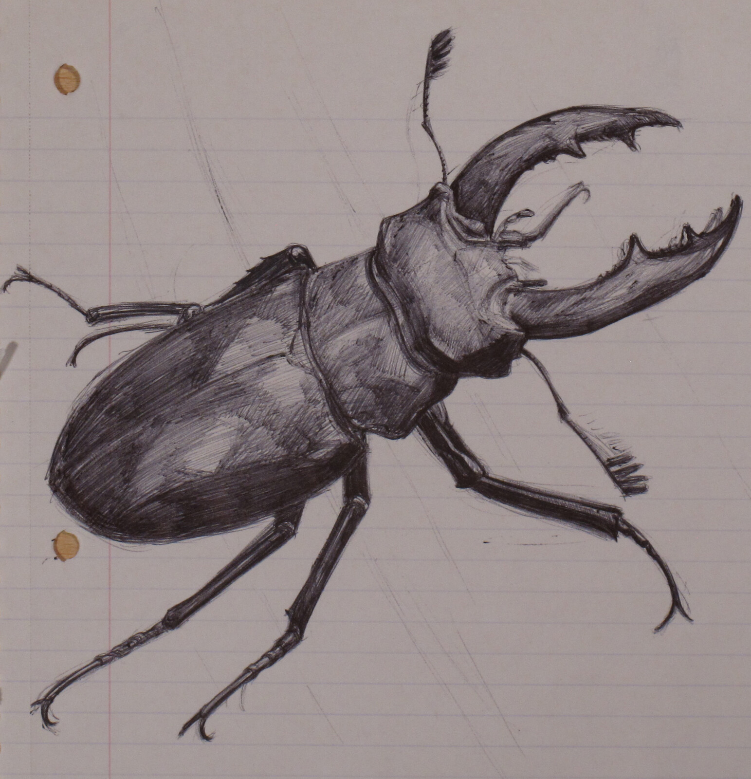 Simon Hetu - Traditional Media