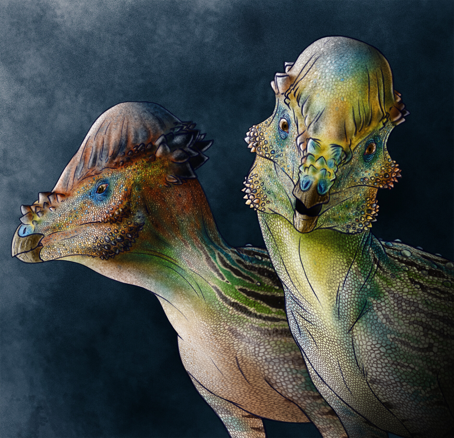ArtStation - Pachycephalosaurus wyomingensis