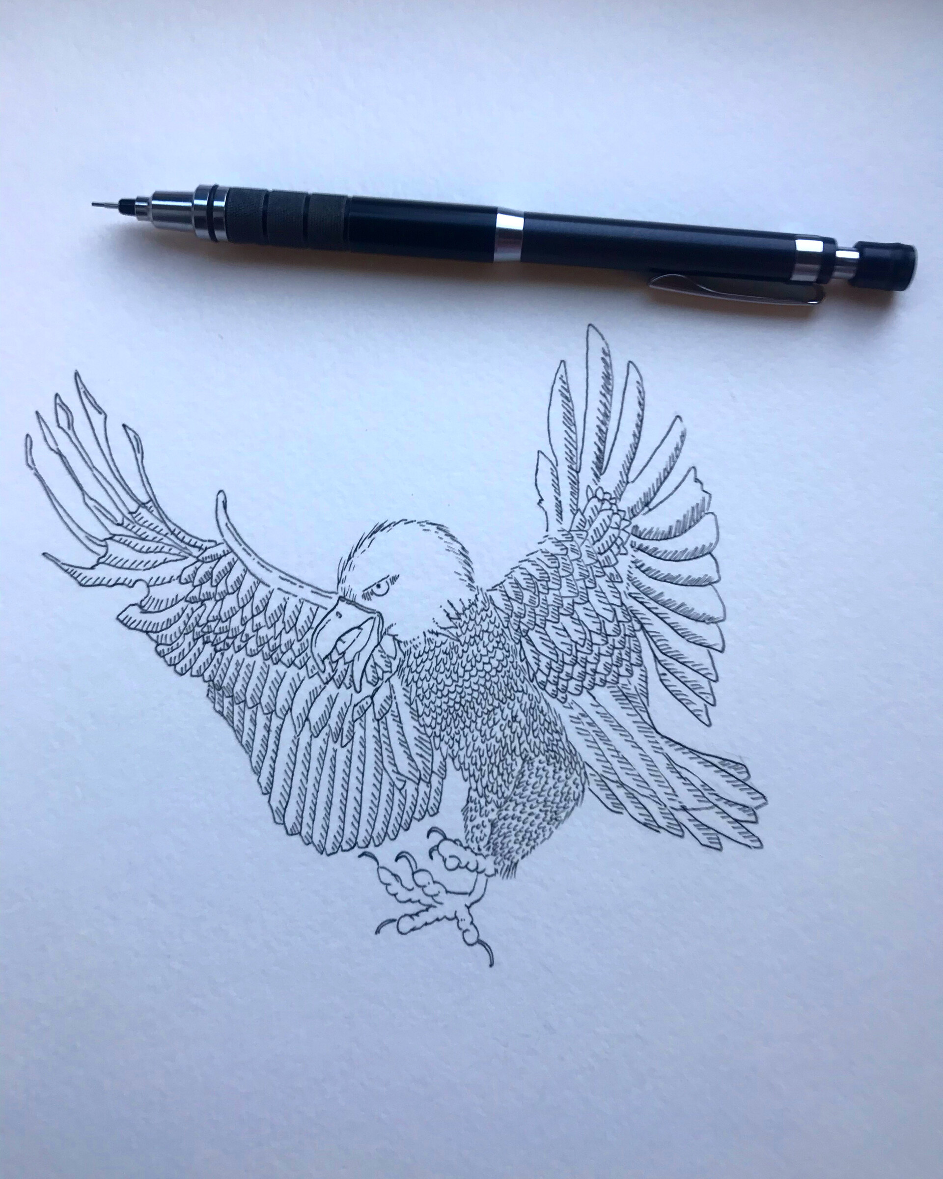 ArtStation - Take Flight