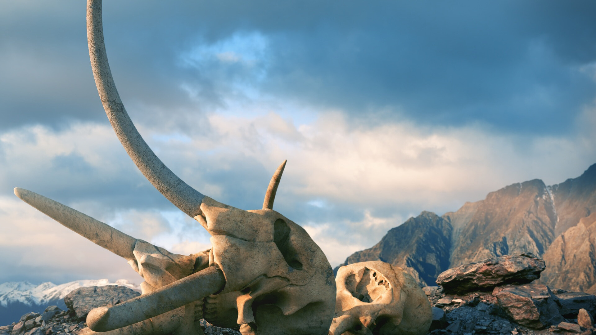 Andrew Prasse | @bourneVFX - Oliphaunt Remains