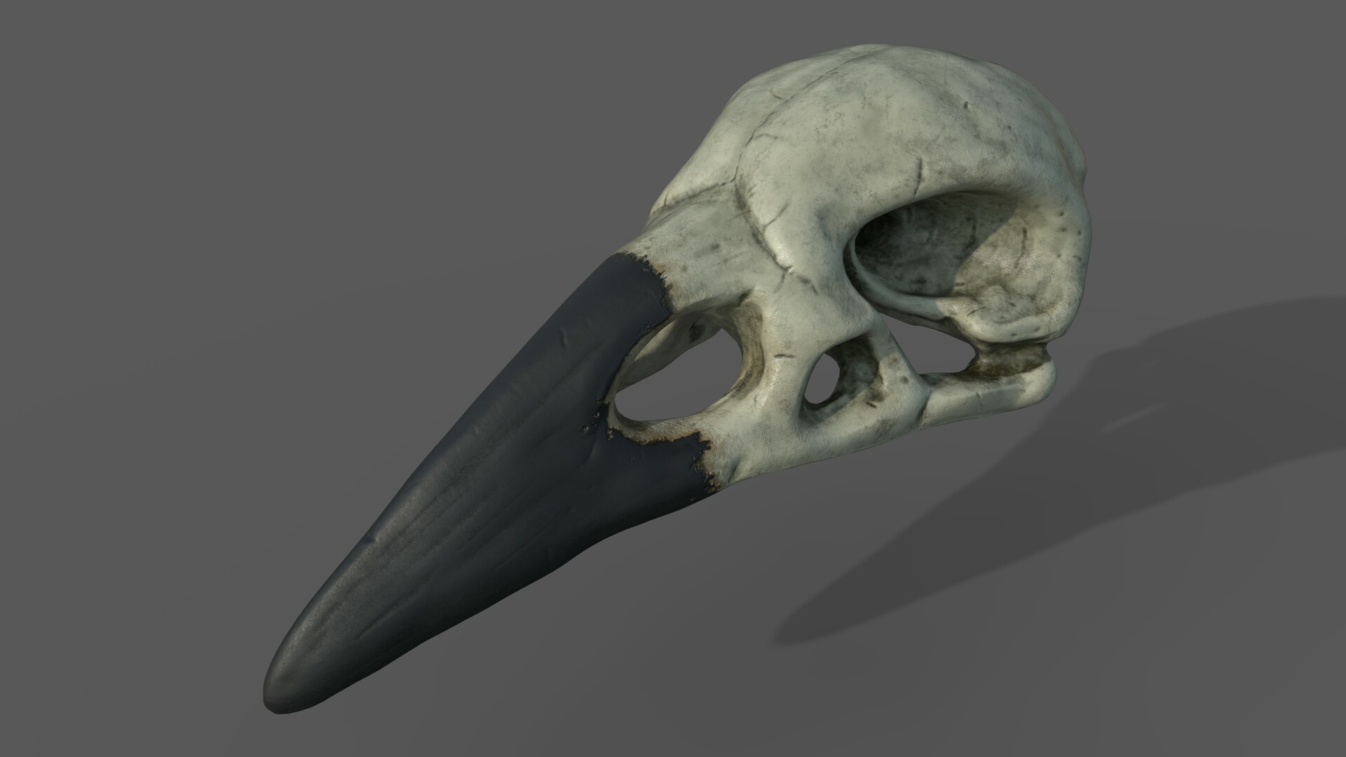 ArtStation - Raven Skull