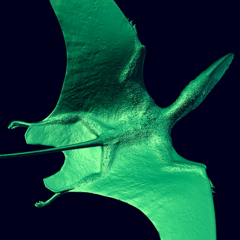 DinoReplicas - 3D Model Works - 3D Printed Dimorphodon Model