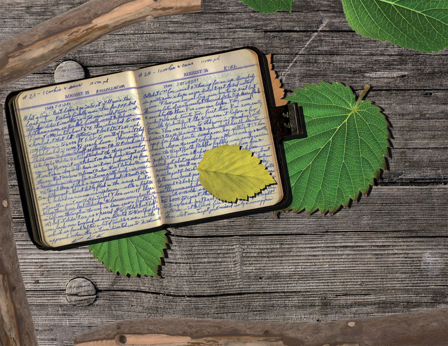 Kayce Deckard - 2019 Sem. 1 - Digital Imaging