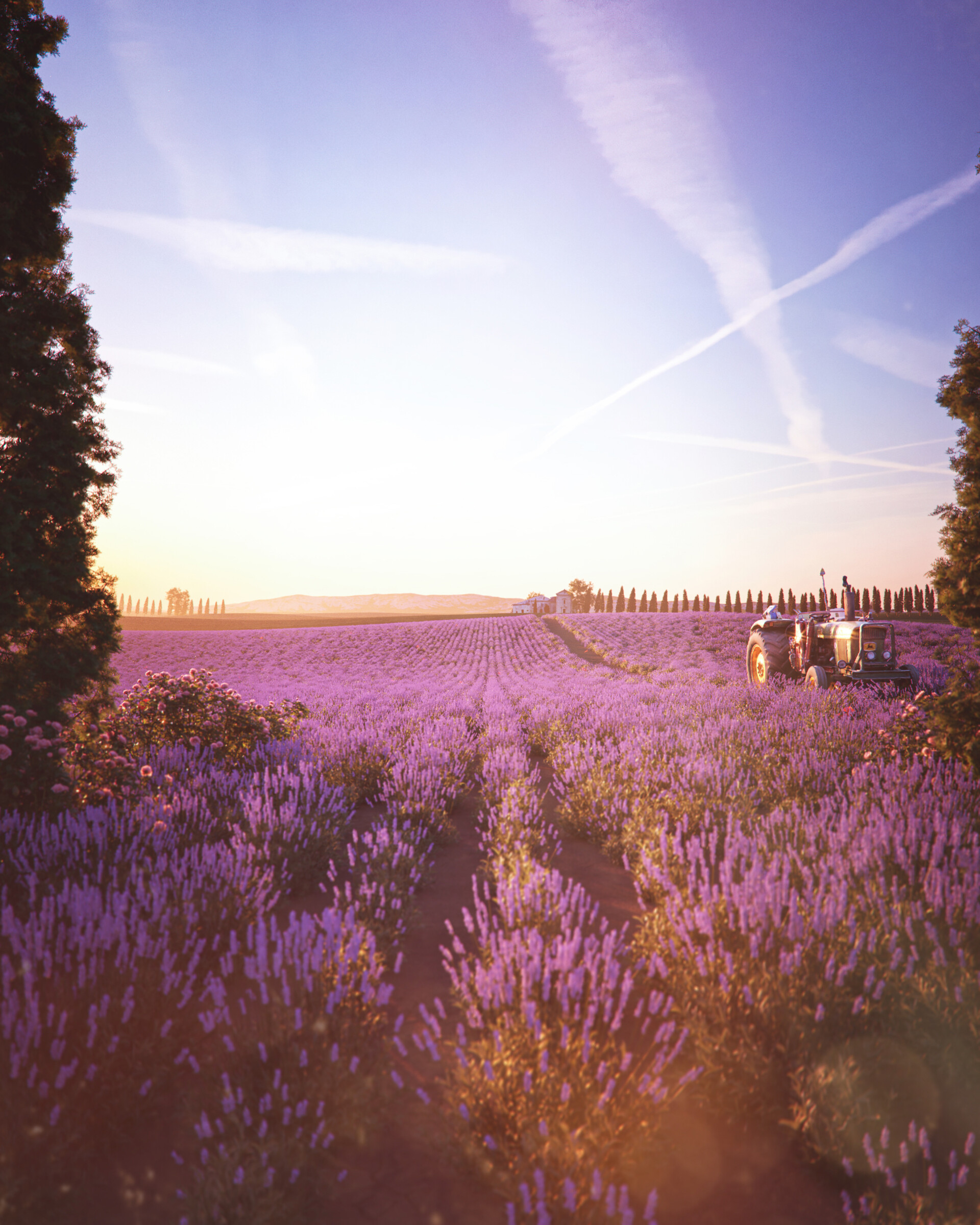 ArtStation - Provence