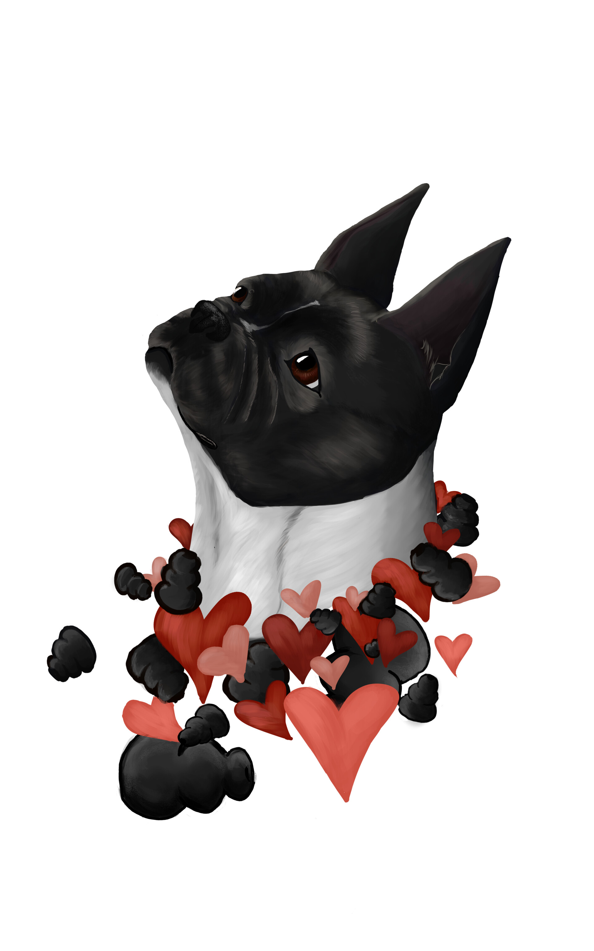 Anna Calhoun - Mullie