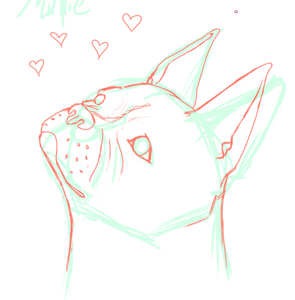 Anna Calhoun - Mullie