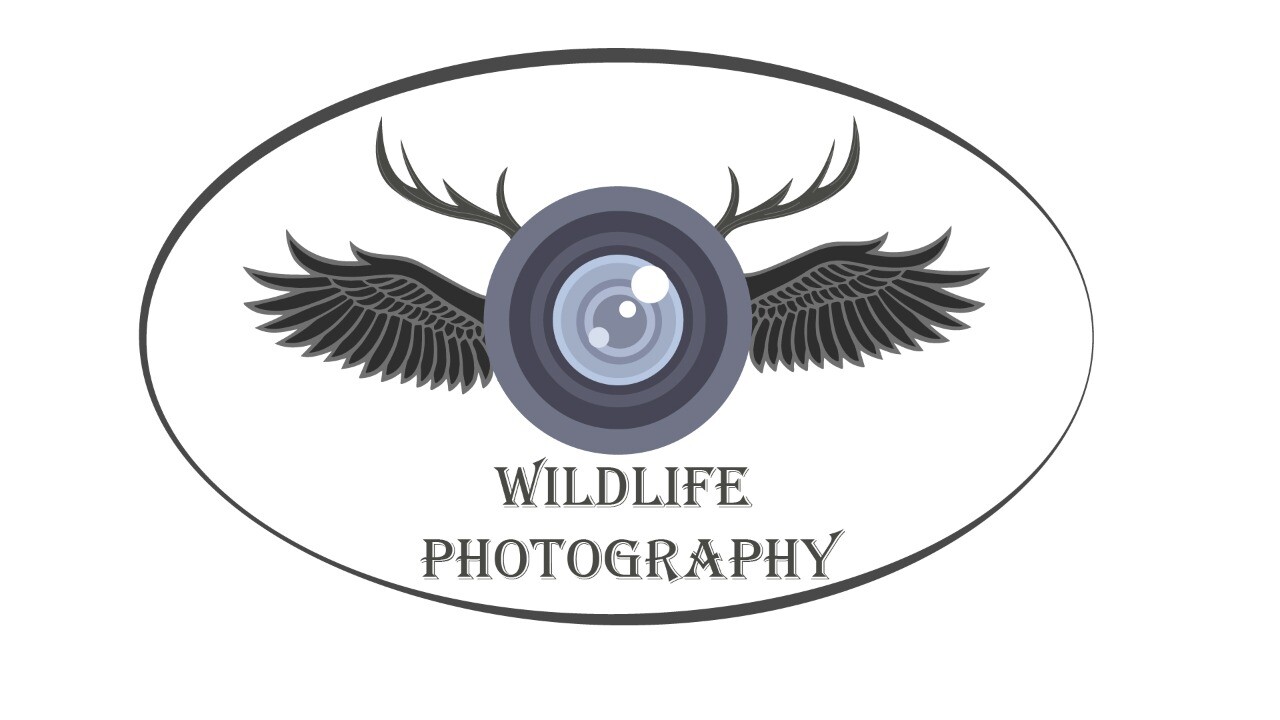ArtStation - Wildlife photography logo