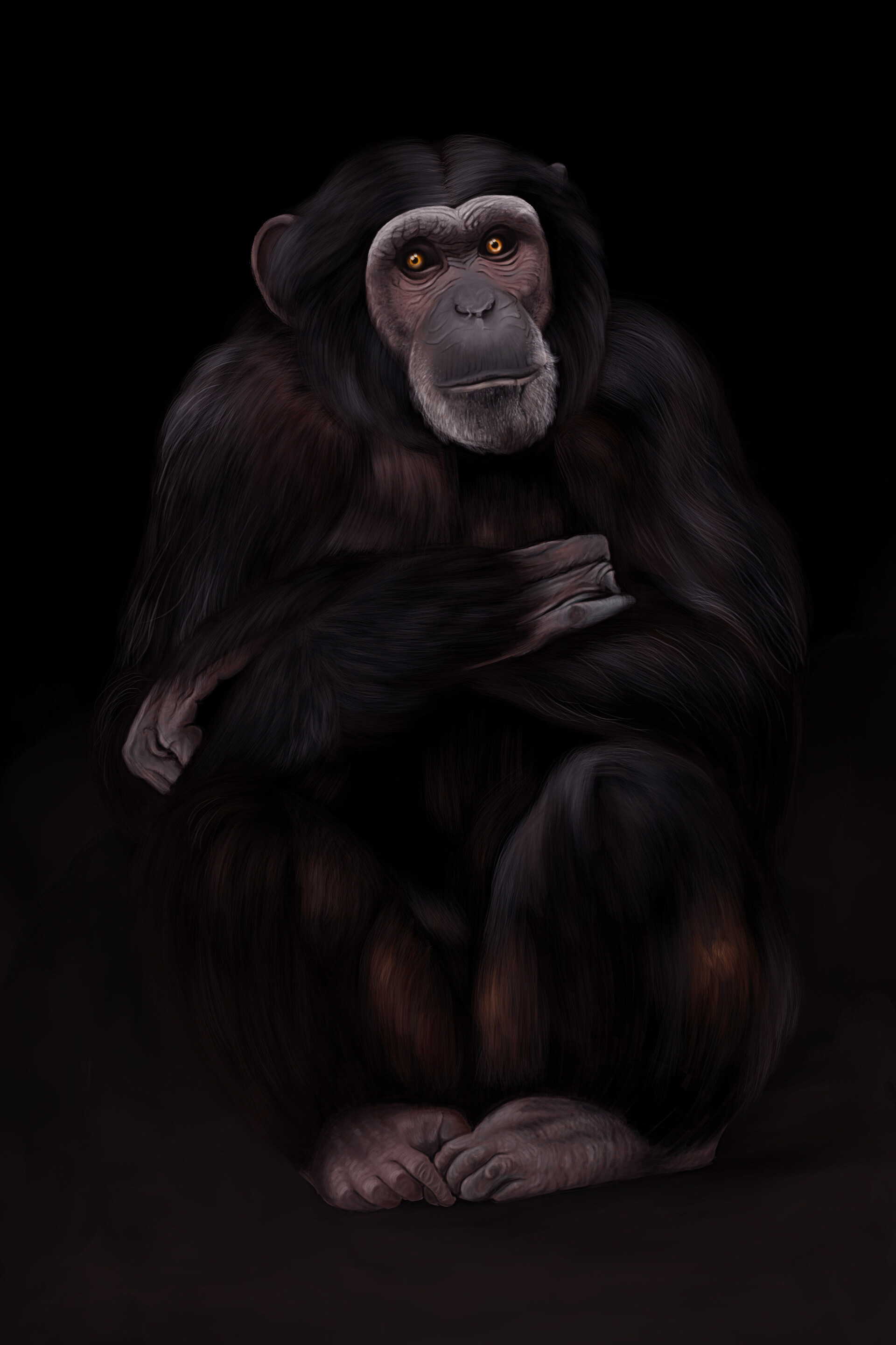 ArtStation - Ape