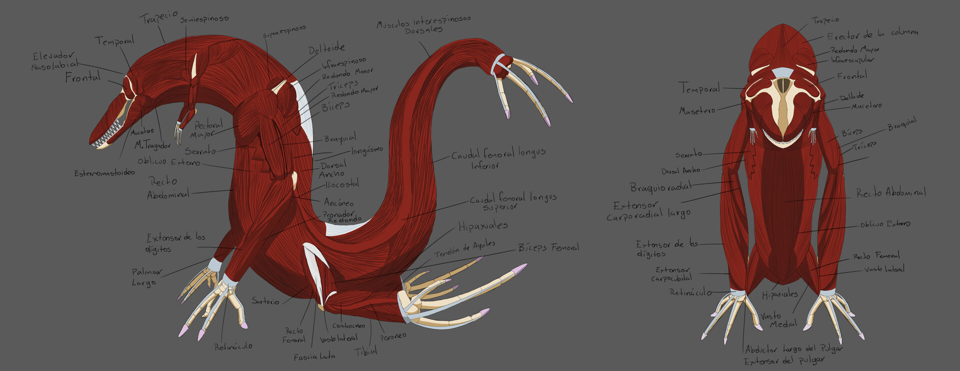 Rodrigo Manero - Kalkalah