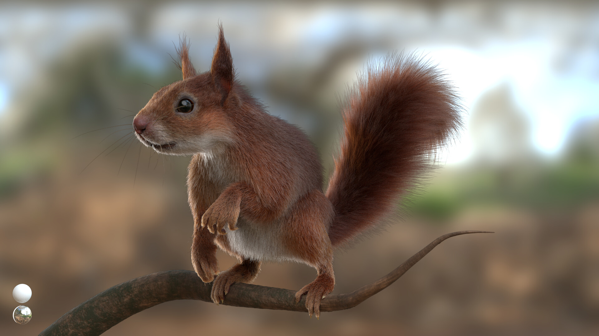 ArtStation - Red squirrel