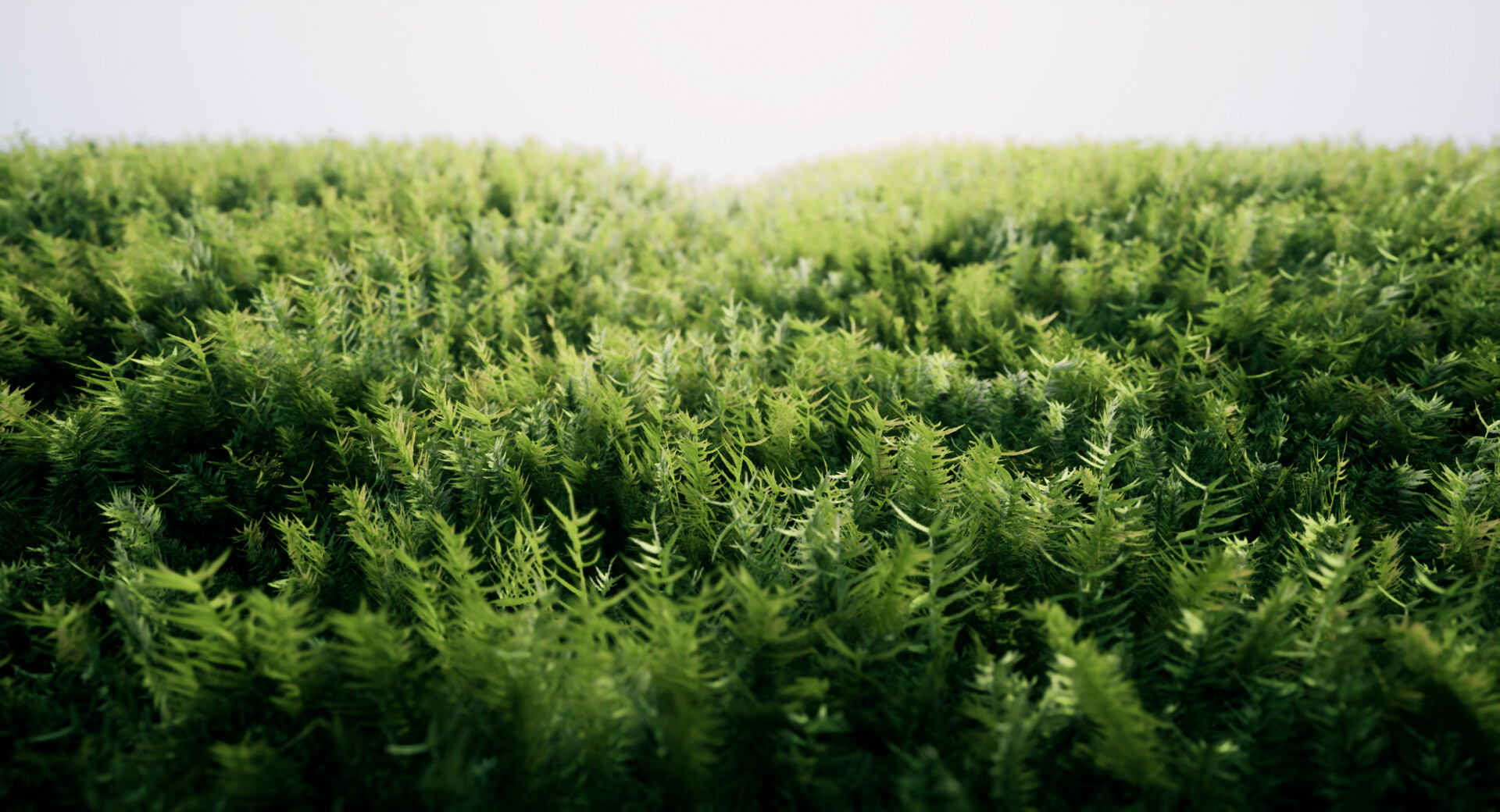 ArtStation - Moss GameReady