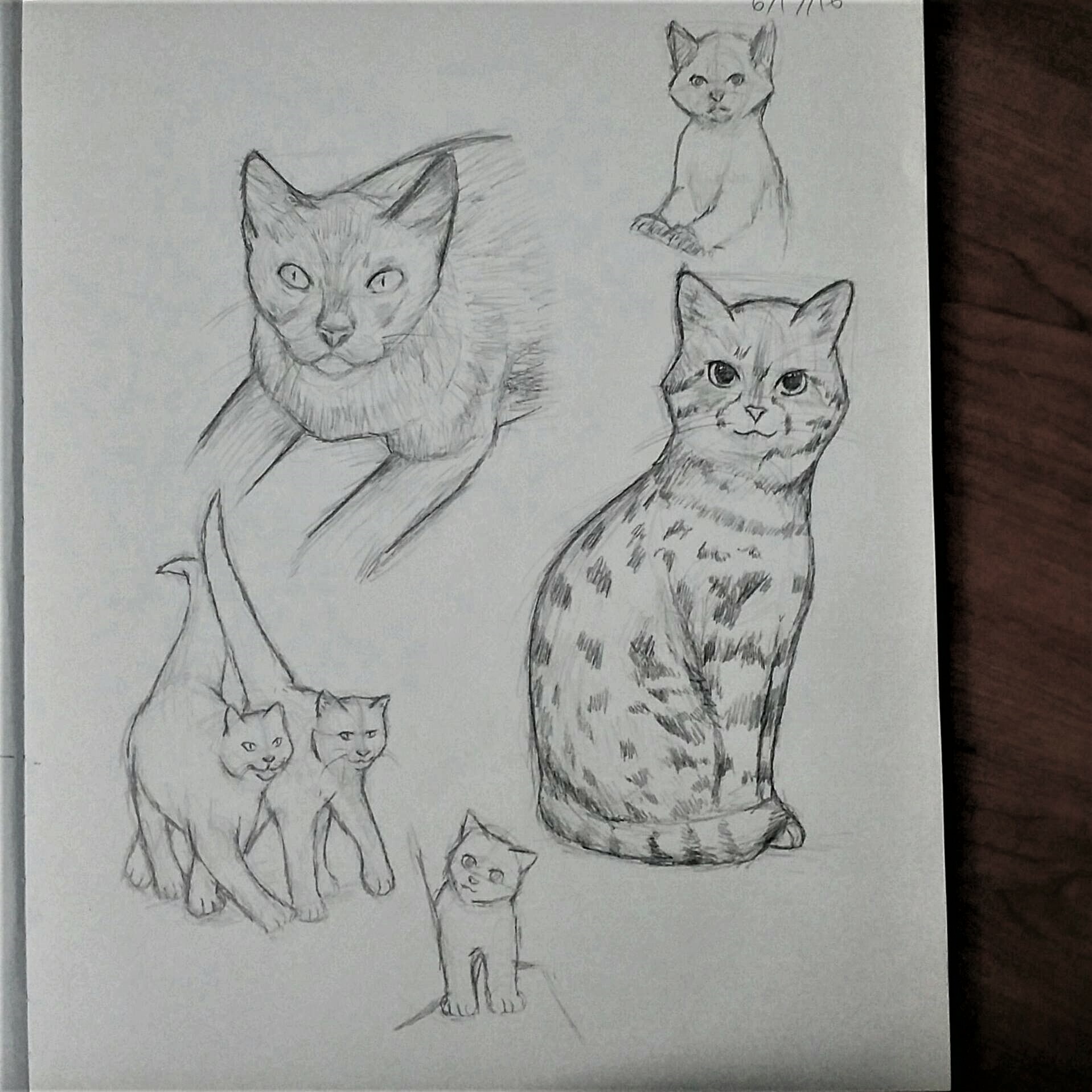 ArtStation - Sketch 5 - Cats
