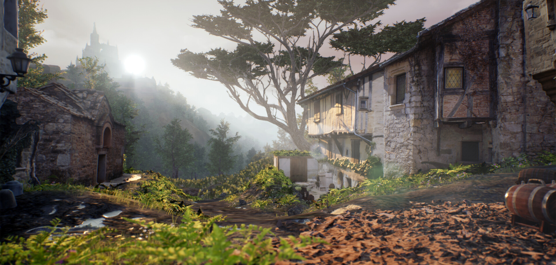 Antonio Niculae - Witcher - Beauclair