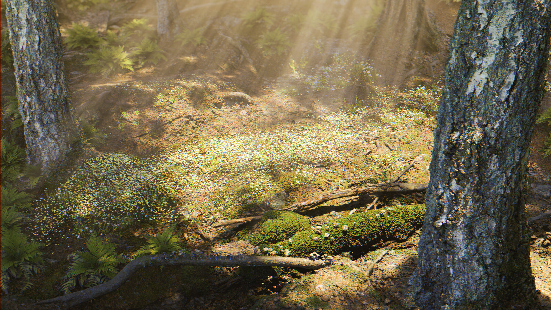 ArtStation - Forest Clearing Render