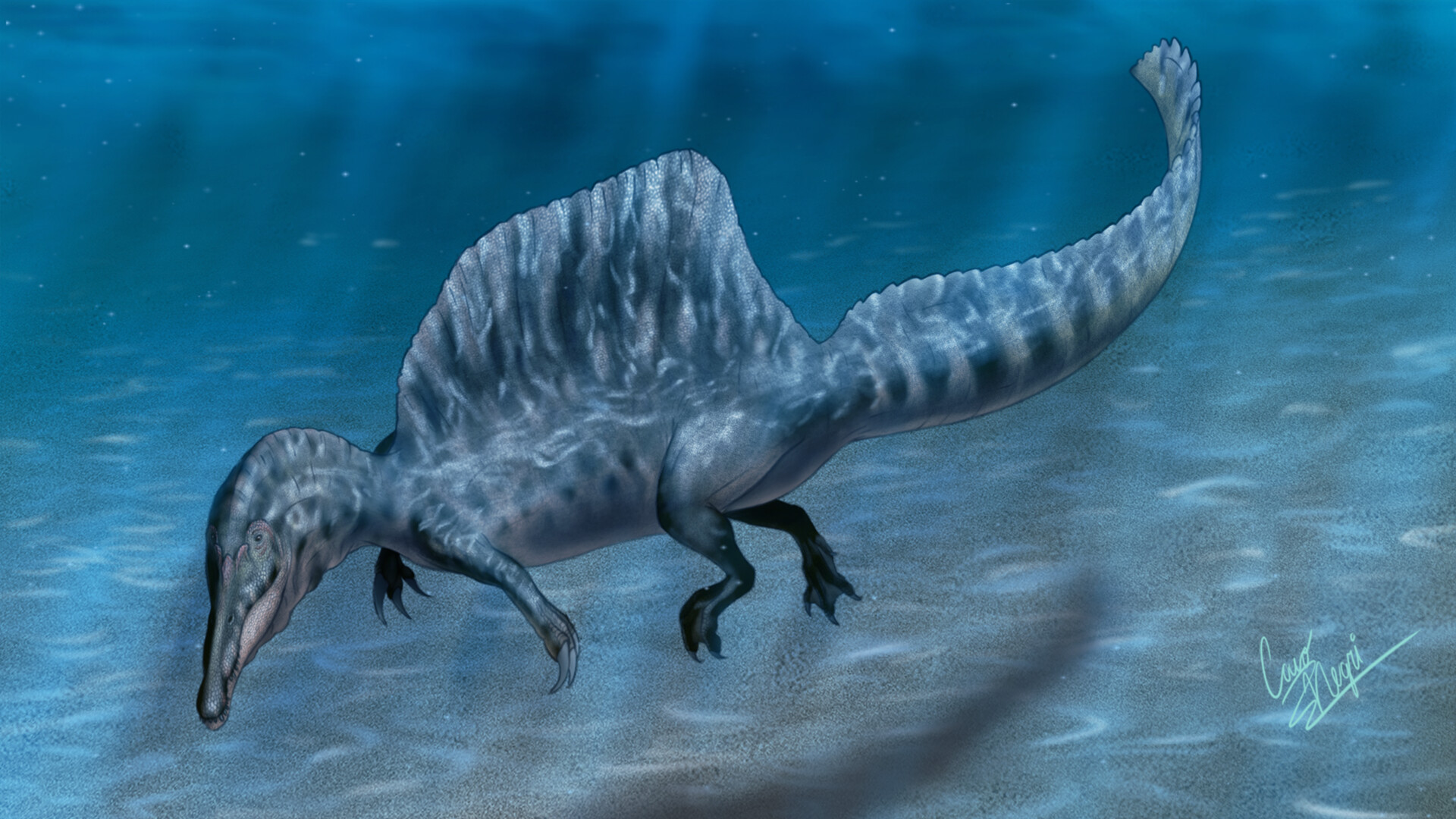 Spinosaurus Aegyptiacus Wallpaper