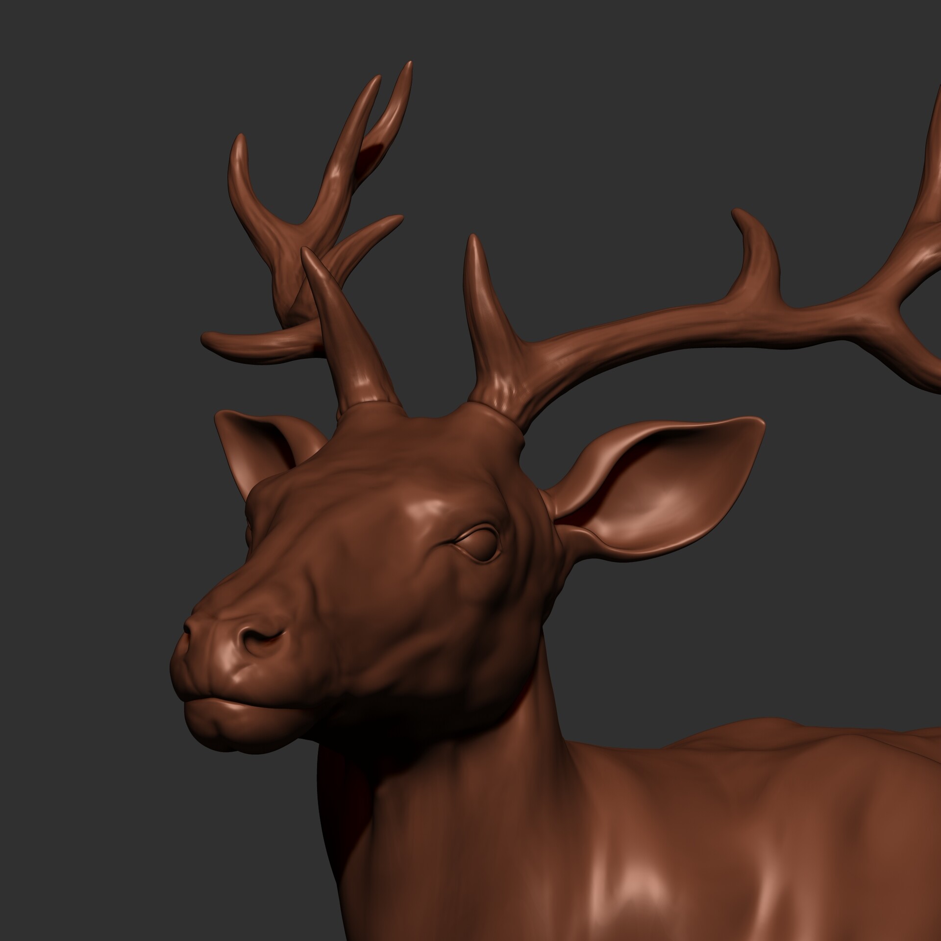 Kiran p. A - Deer_stag