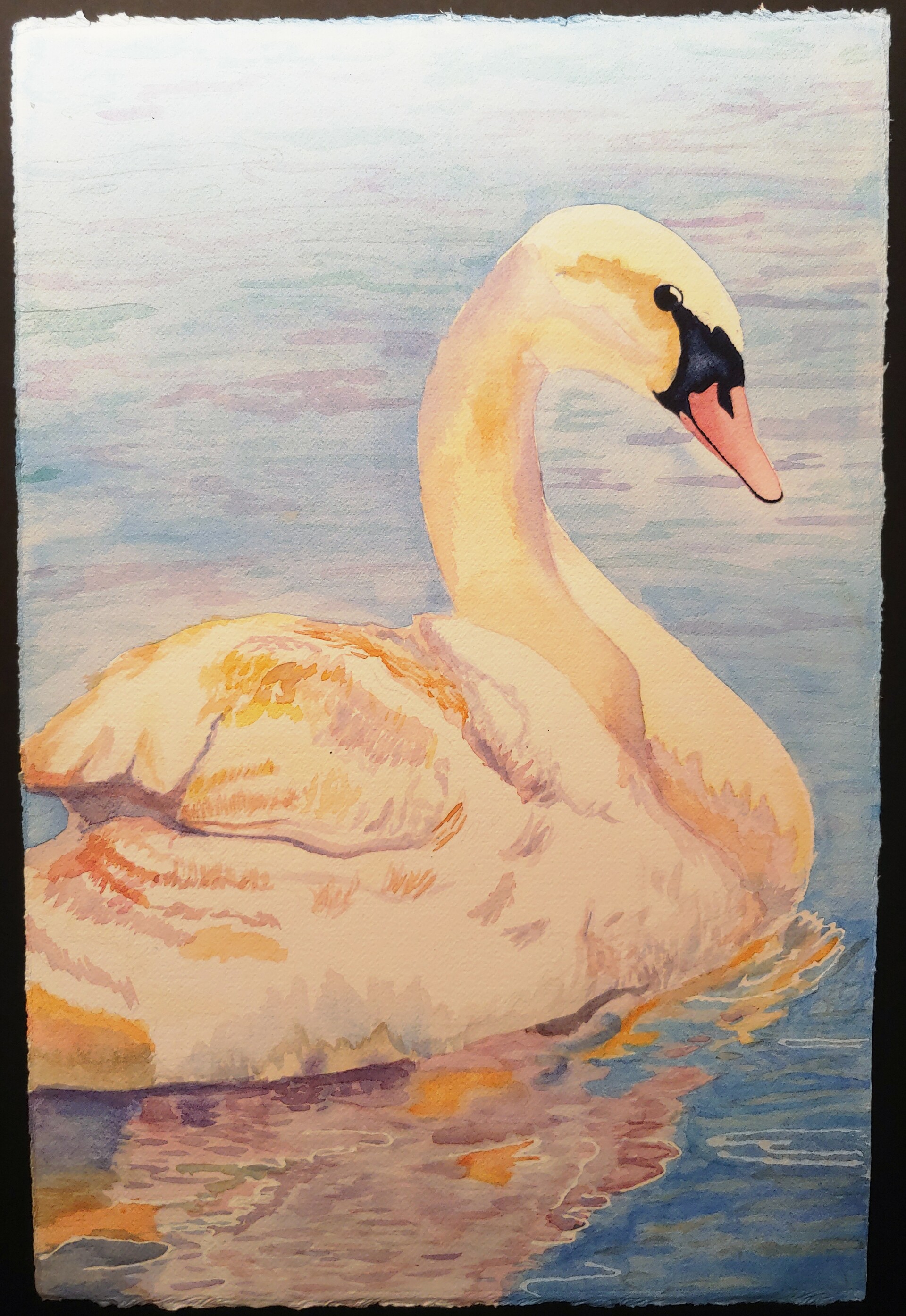 ArtStation - Swan-Watercolor Painting