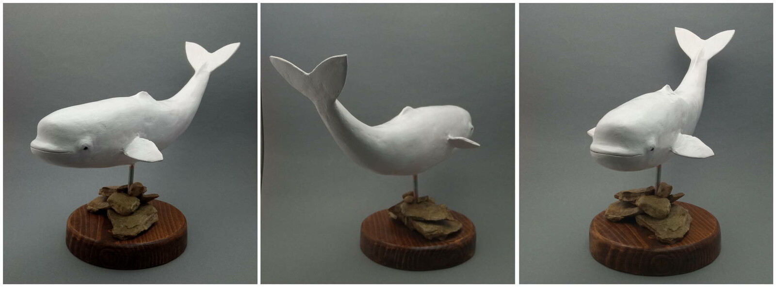 David Bidlen - Beluga whale