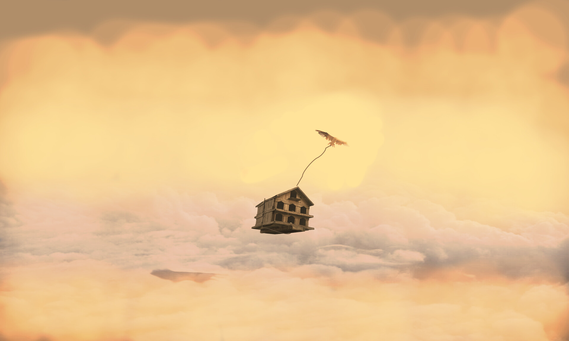 ArtStation - fantacy flying bird house