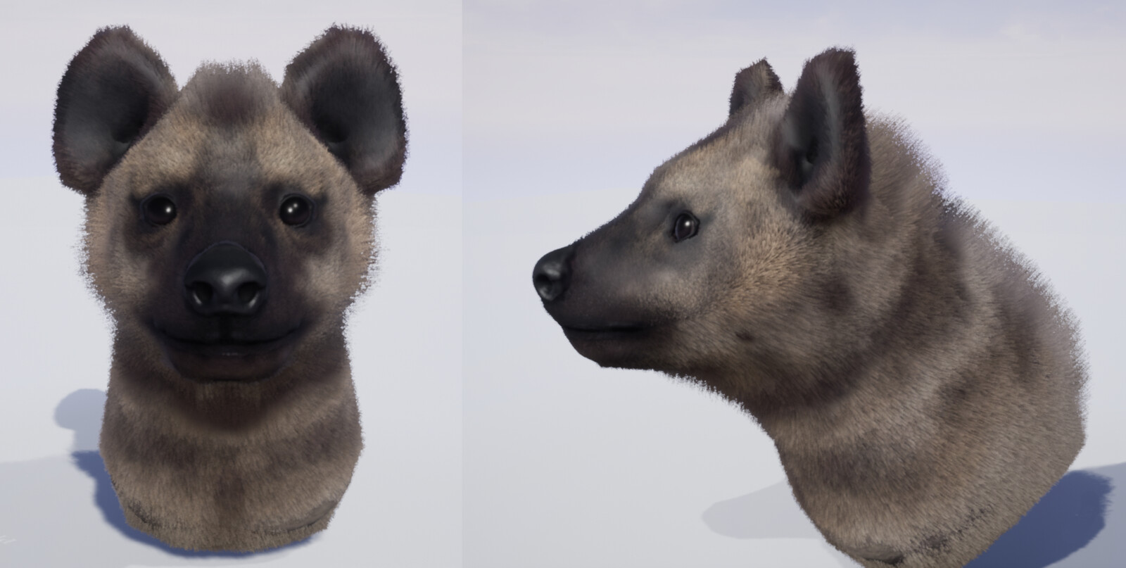 Coral Regimbeau-Bradford - Hyena - Realtime Fur Experiment