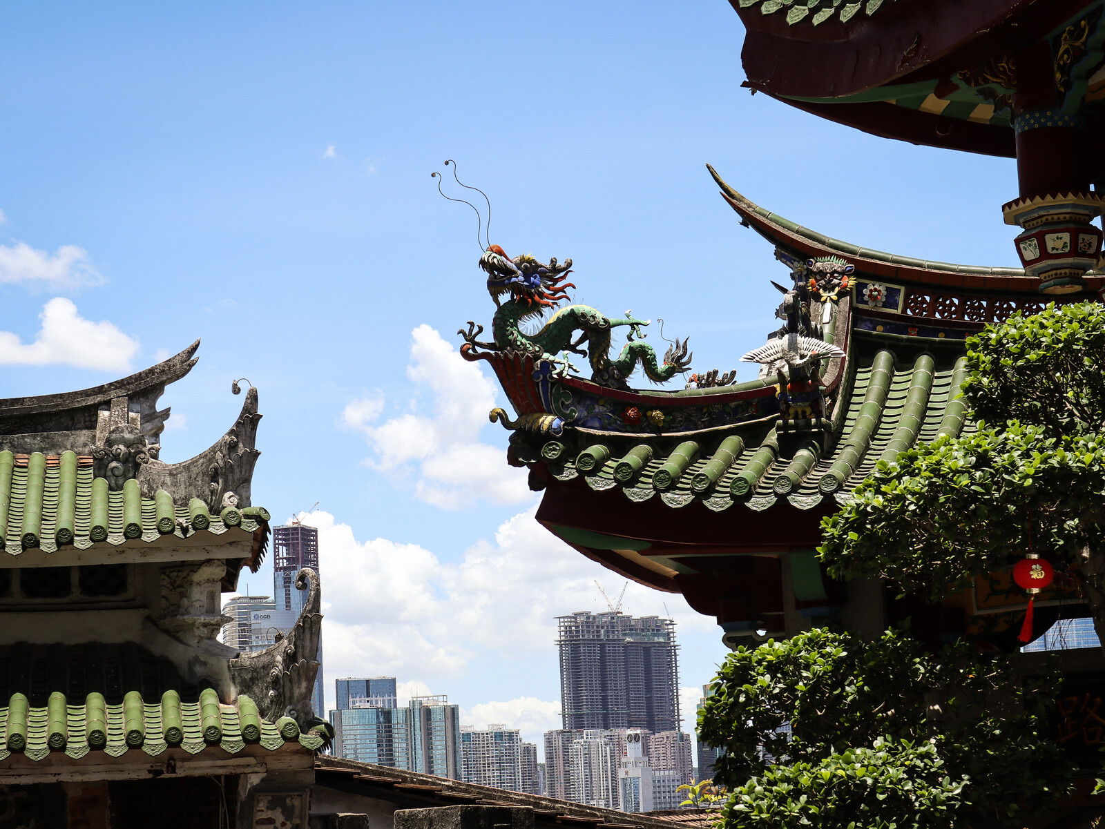 Raina Lim - Photography: Brave new world