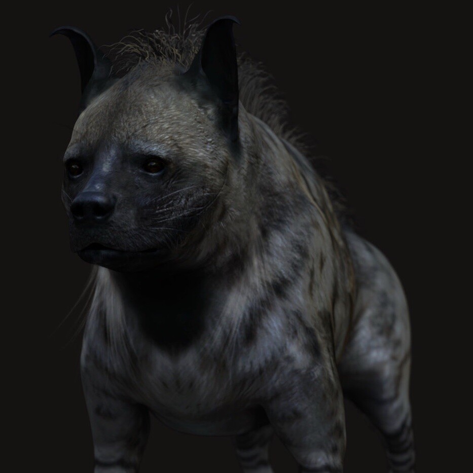 ArtStation - Hyena zbrush