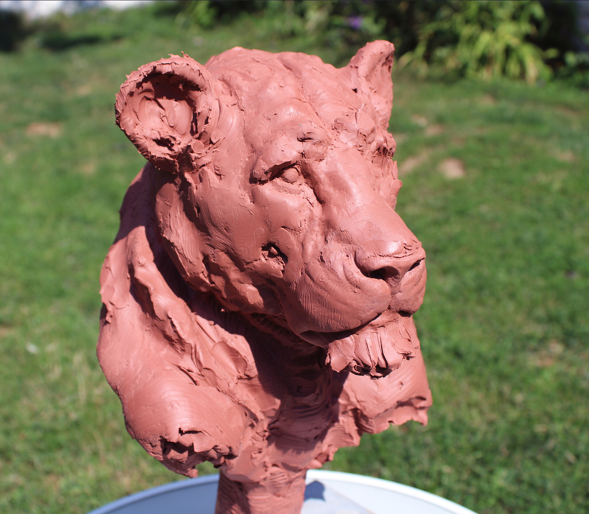 Greg Strangis - Naomi the Lioness