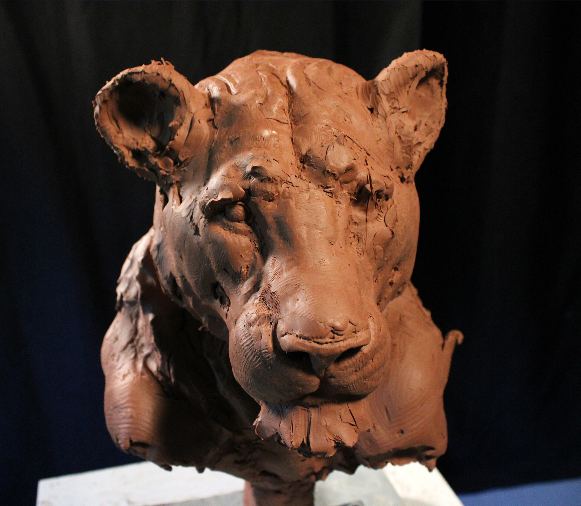 Greg Strangis - Naomi the Lioness