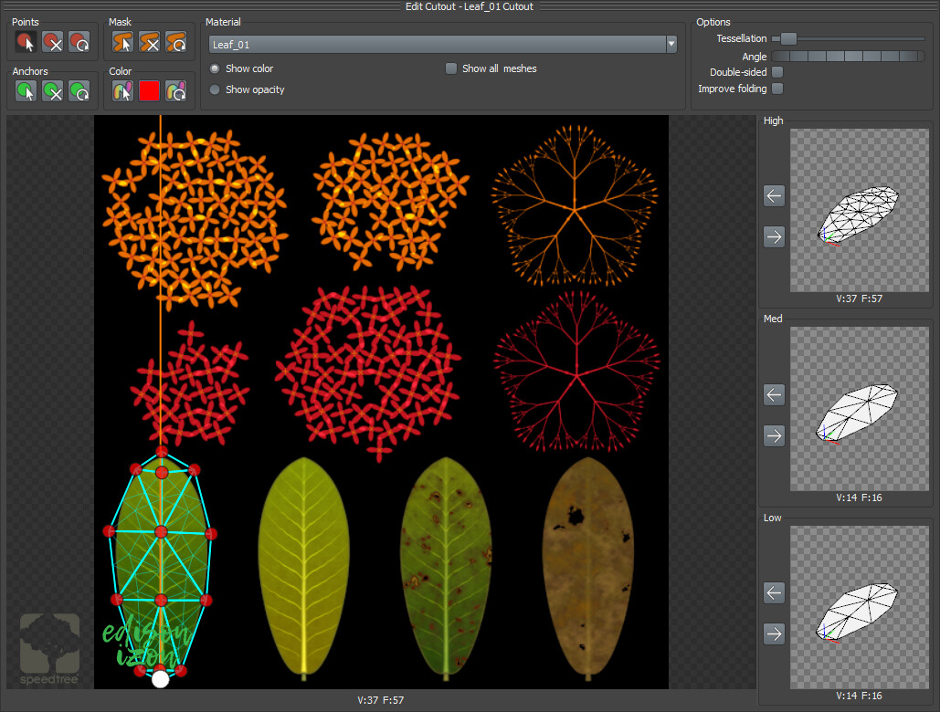 Edison - Ixora Plant Creation in Substance Designer and Speedtree