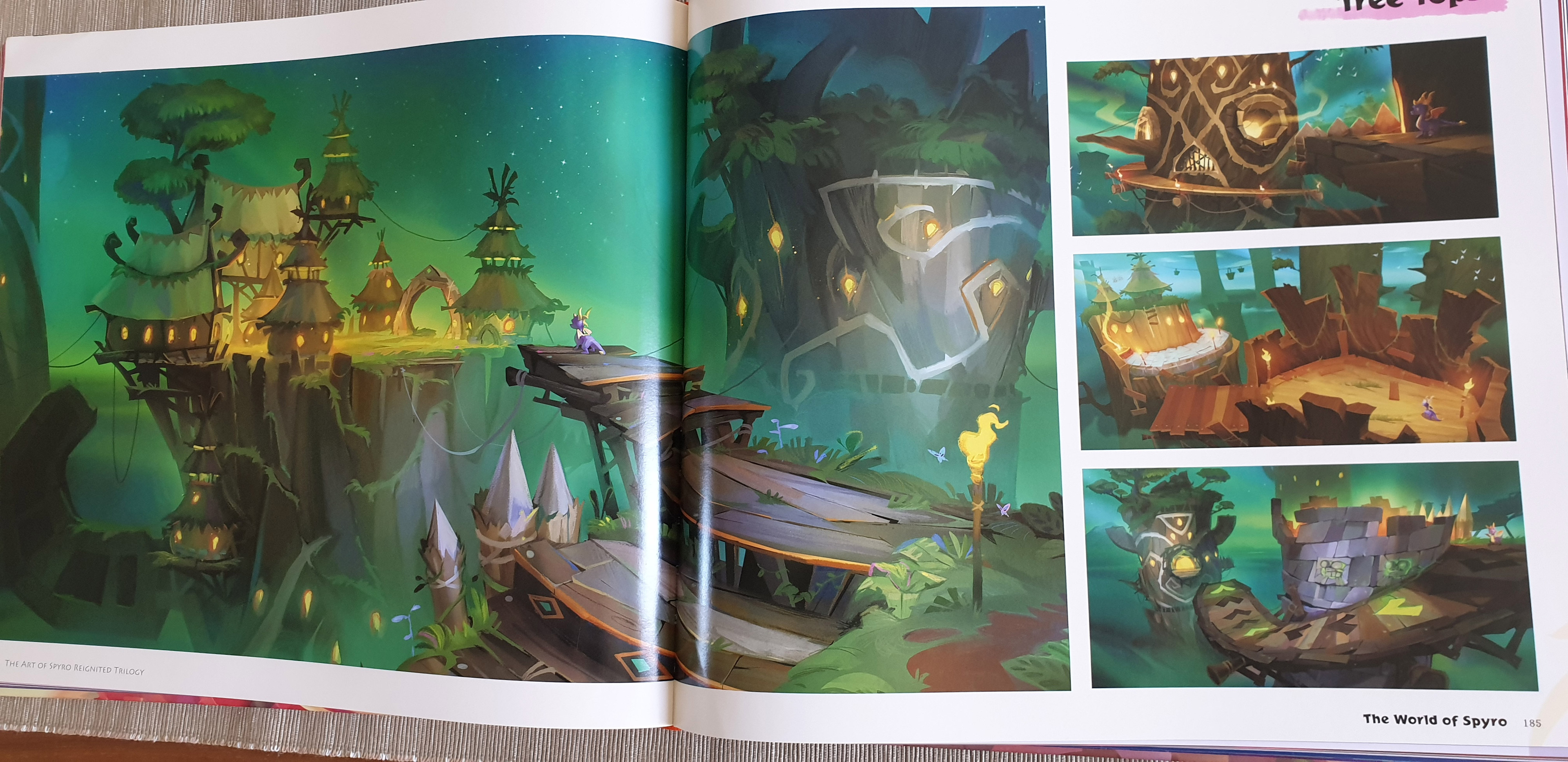 Florian Coudray Portfolio - Spyro Reignited Trilogy - Beastmakers World