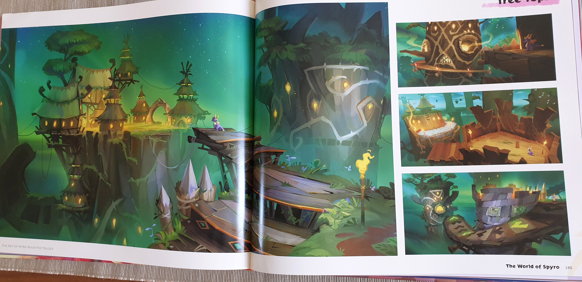 Florian Coudray Portfolio - Spyro Reignited Trilogy - Beastmakers World