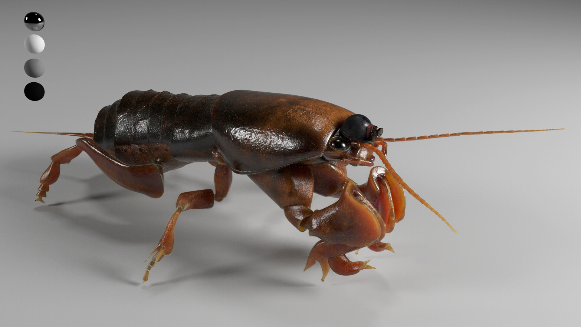 ArtStation - Microcosmos - The Mole Cricket