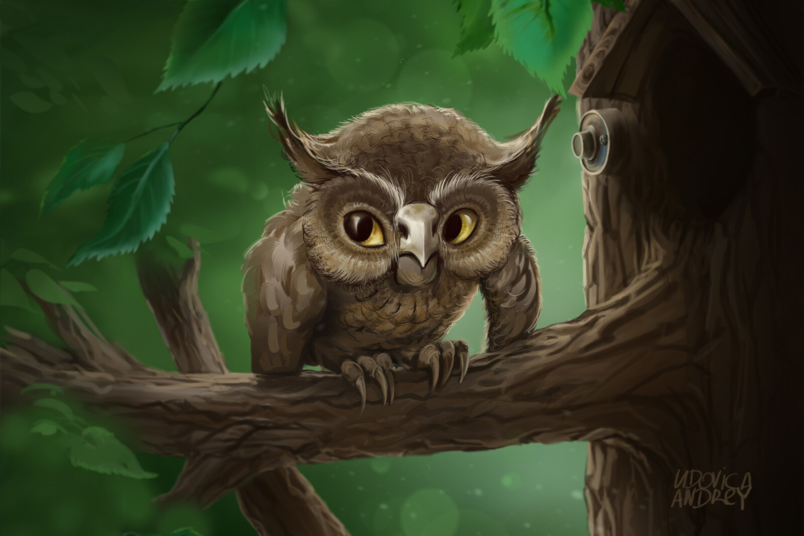 Andrey Udovichenko - Owl