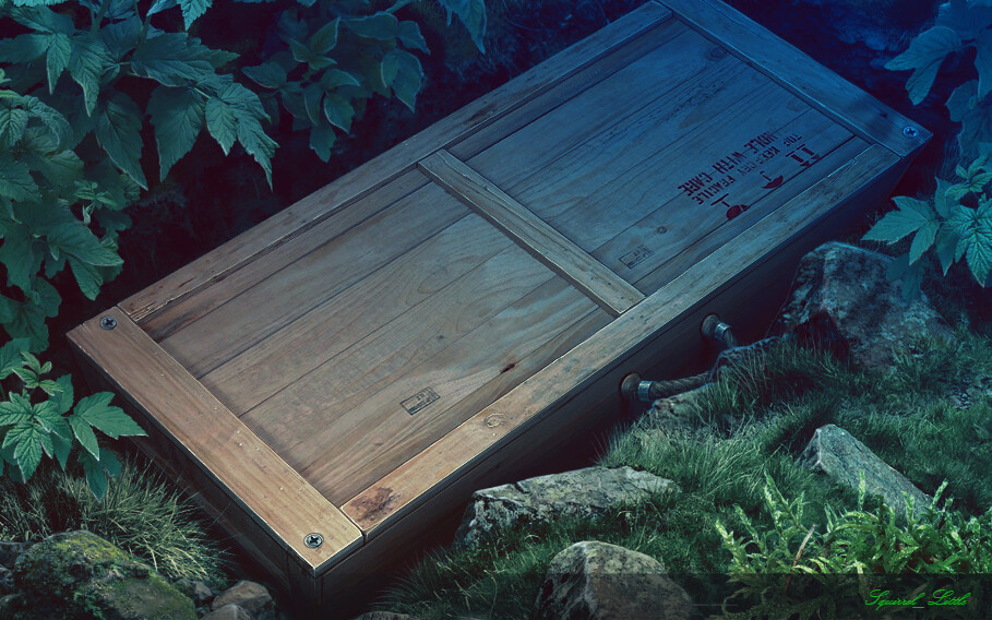 ArtStation - Box in forest