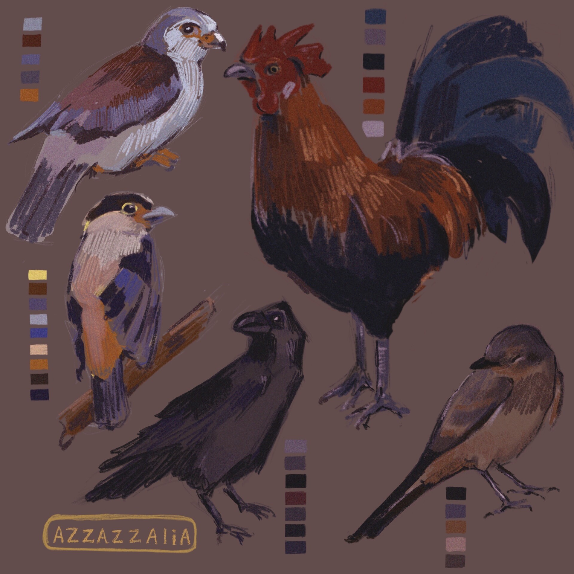 ArtStation - Birds