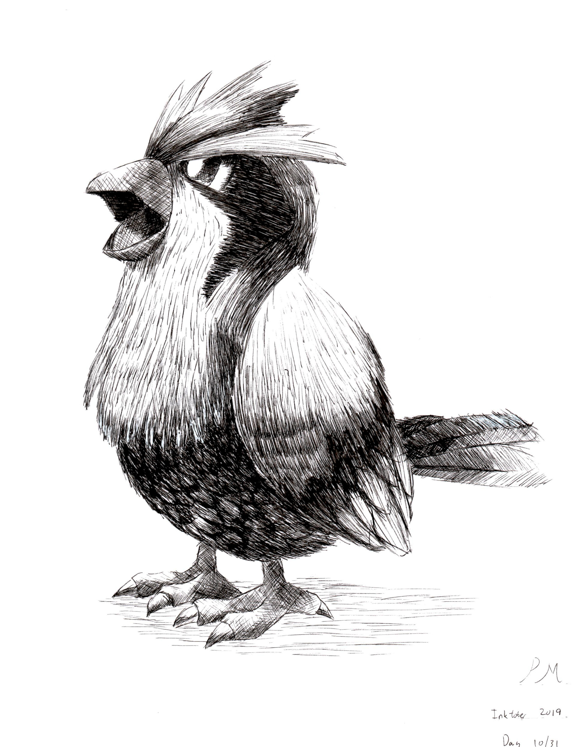 ArtStation - Inktober 2019 - Day #10: Pidgey