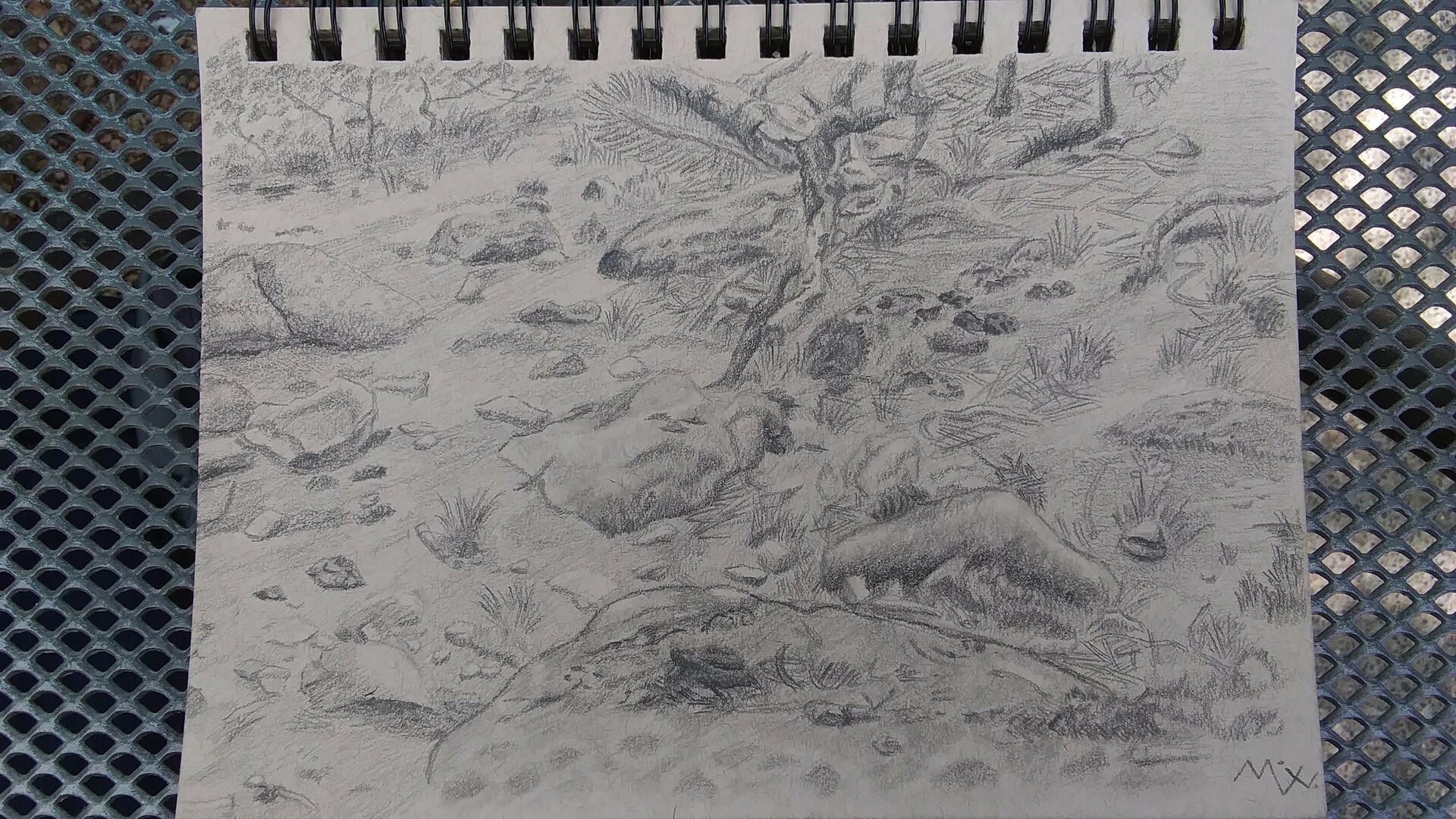 ArtStation - Nature Study - 1