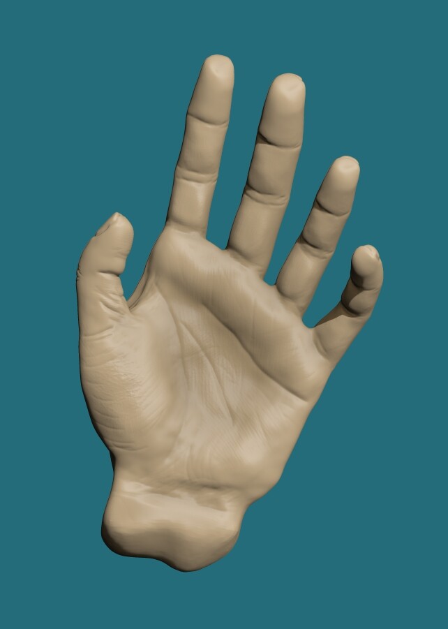 ArtStation - Day 101 hand training