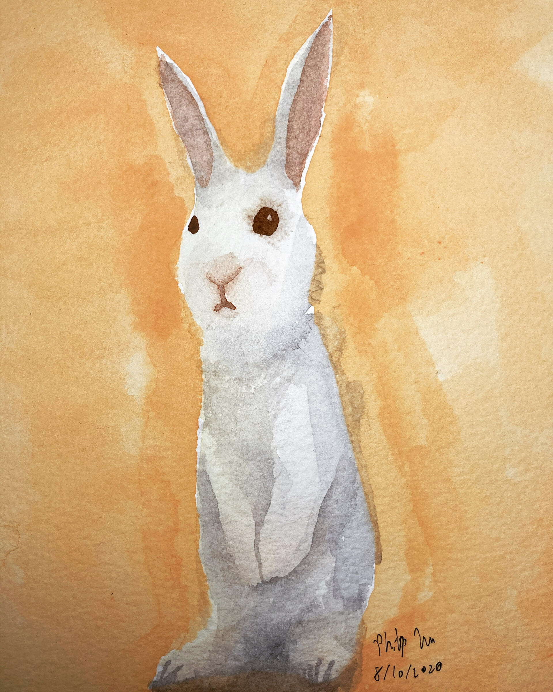 Philip Wu - A Bunny For A Day August 2020 #09~#14
