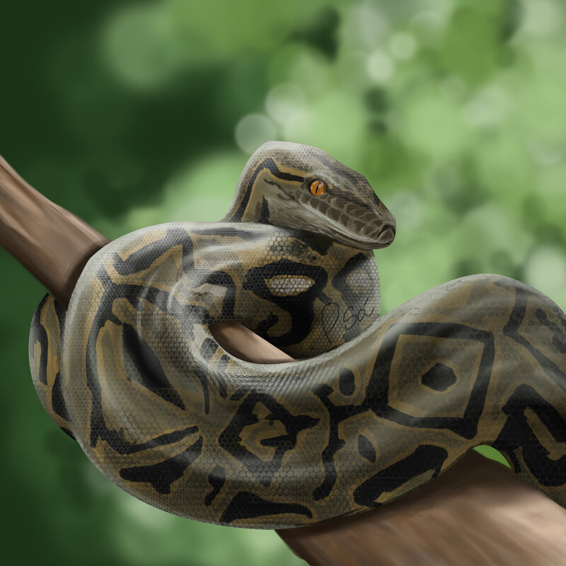 ArtStation - Paloma Sá