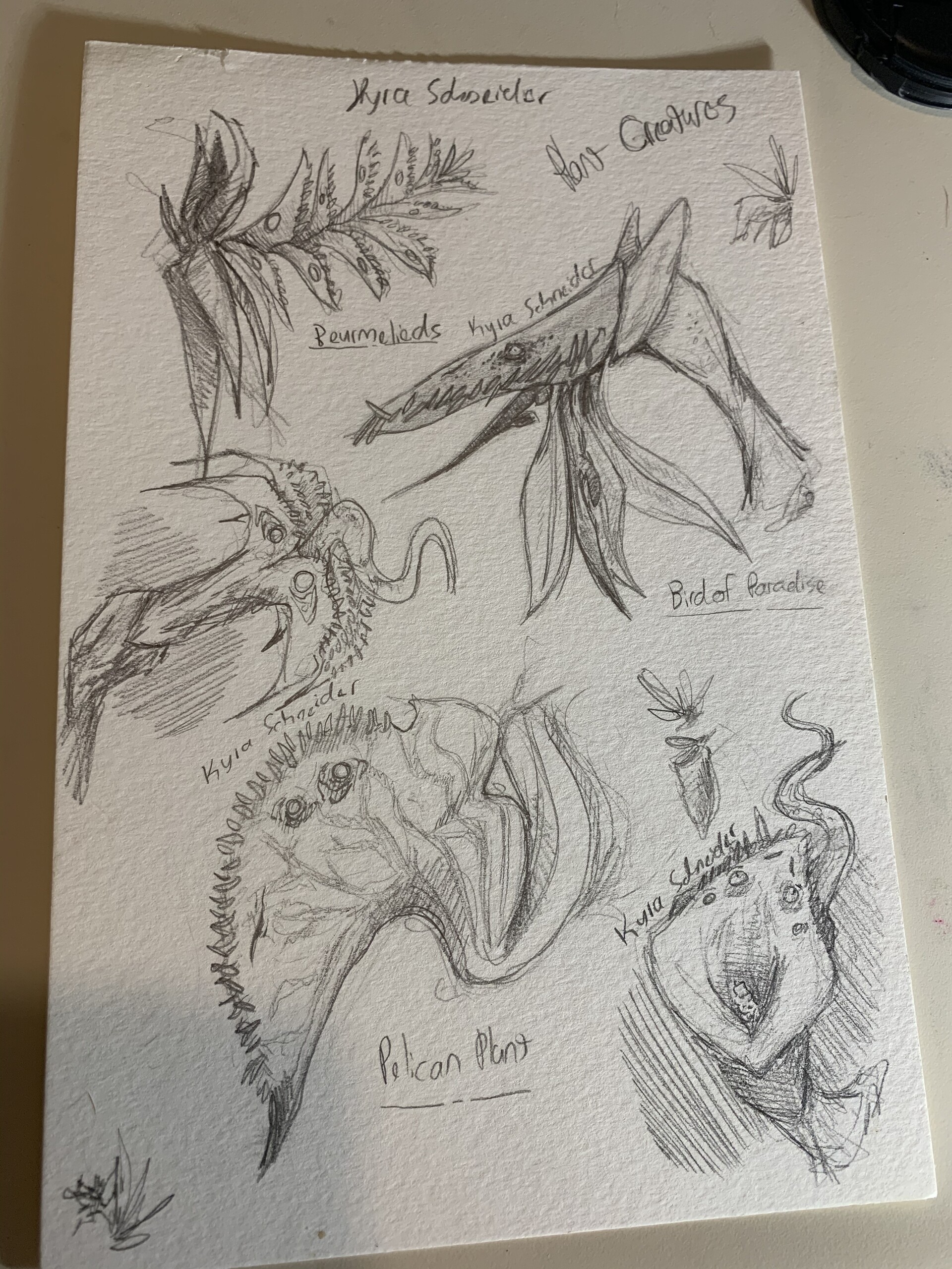 Kyra Schneider - Plant Creatures