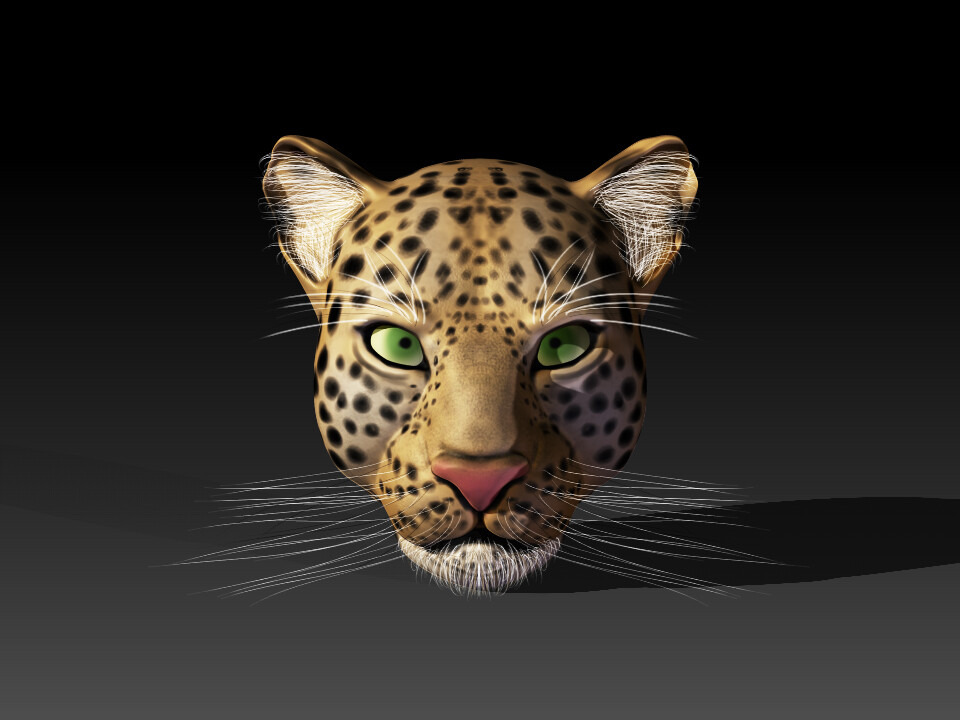 ArtStation - Leapard