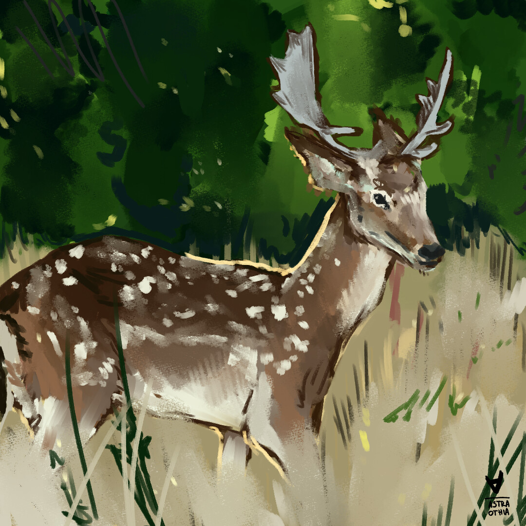 ArtStation - Fallow Deer