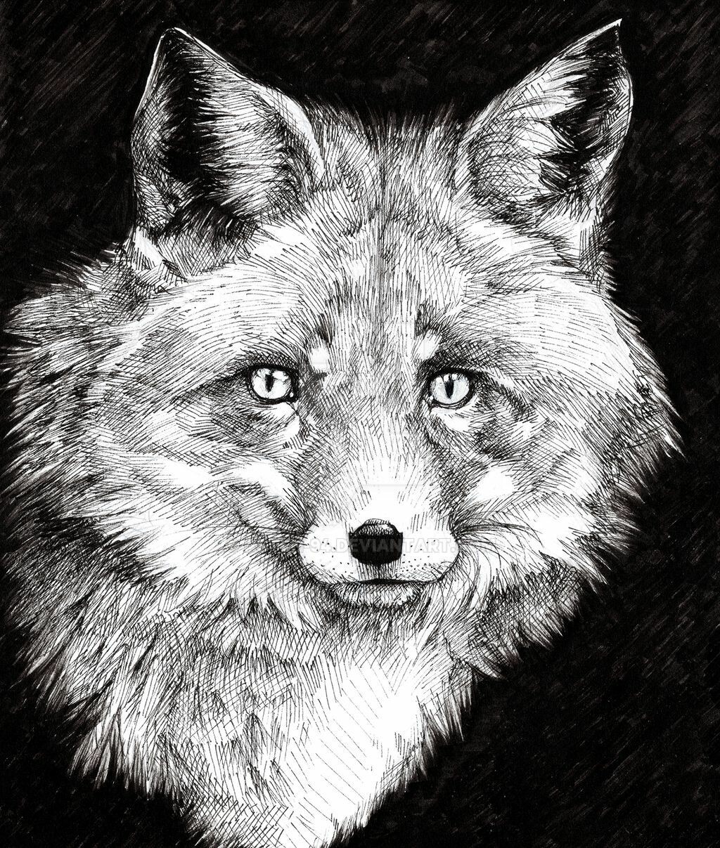 ArtStation - Fox